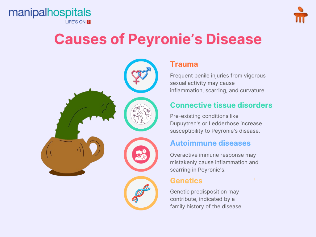 Peyronie's Disease